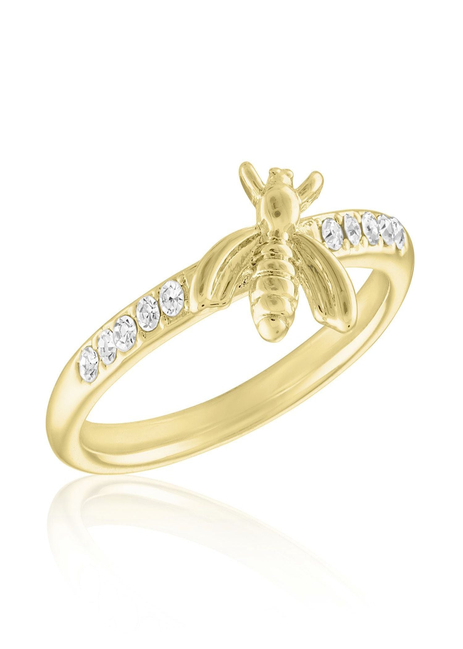 LAY-RING 71 – The Pineapple Post